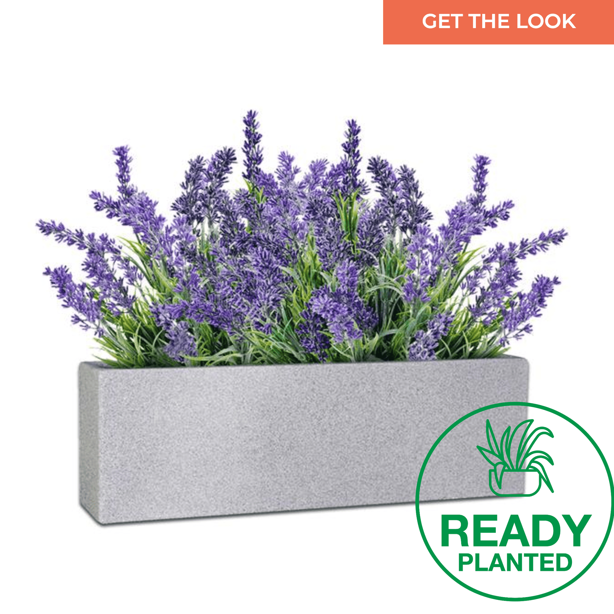 Planted Curo Trough | Sun - The Potshack