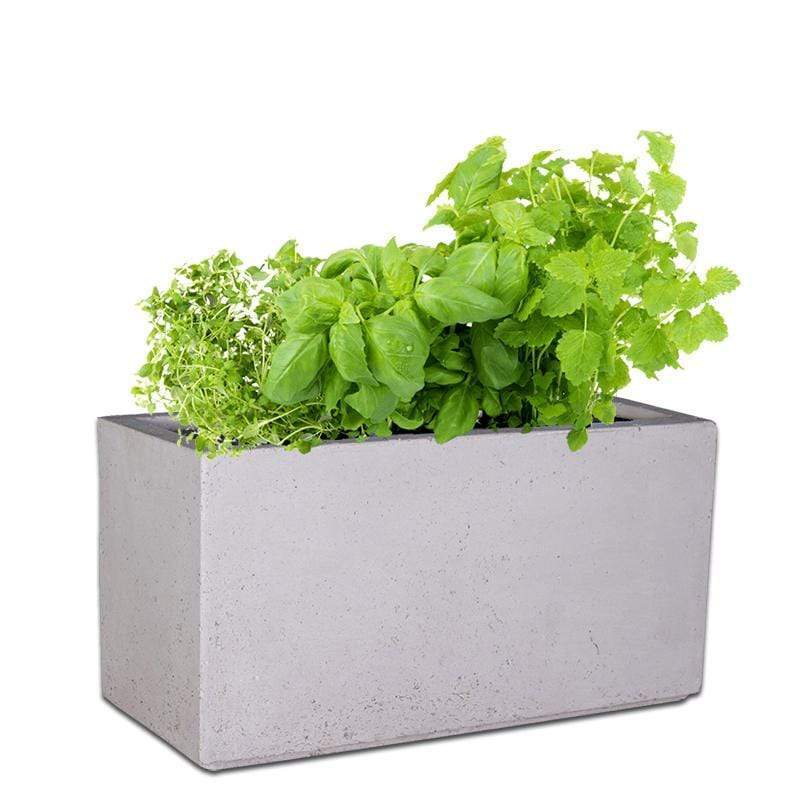Chunky Trough Concrete Pot - The Potshack