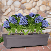 Premium Clermont Trough Plant Pot