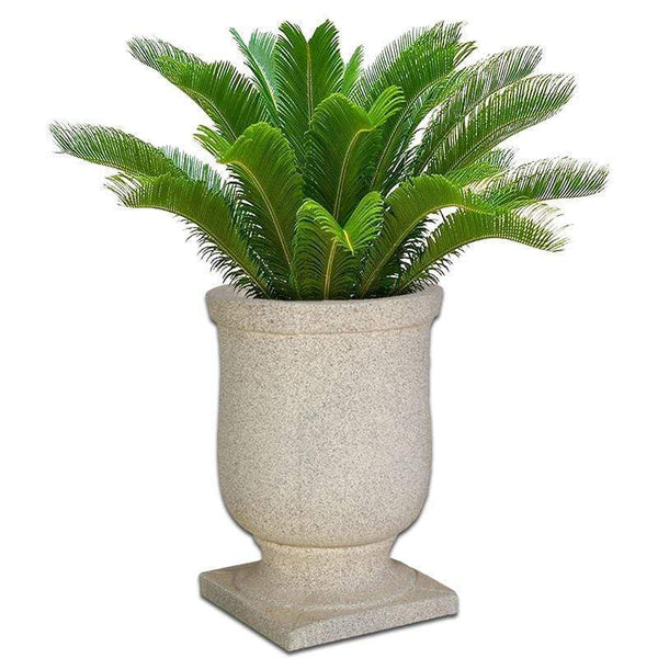 Back Garden Favourites