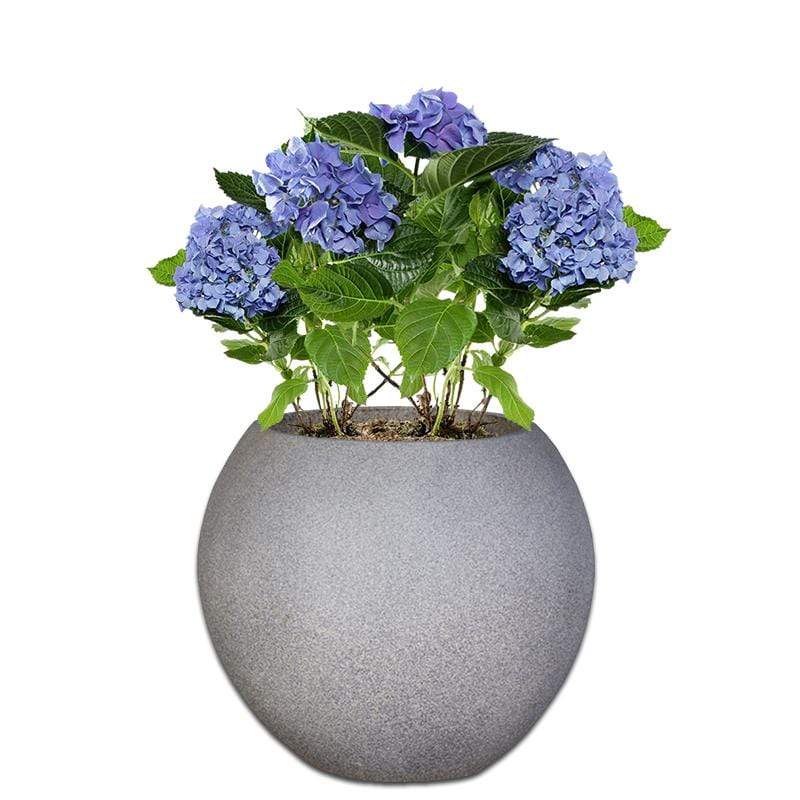 Rum Concrete Pot - Perfect For Outdoor & Indoor Spaces